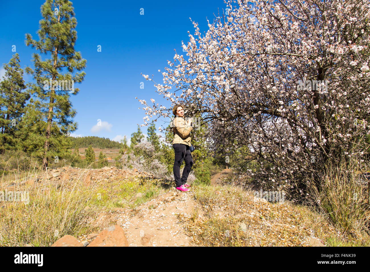 Female standing under cherry hi-res stock photography and images - Alamy