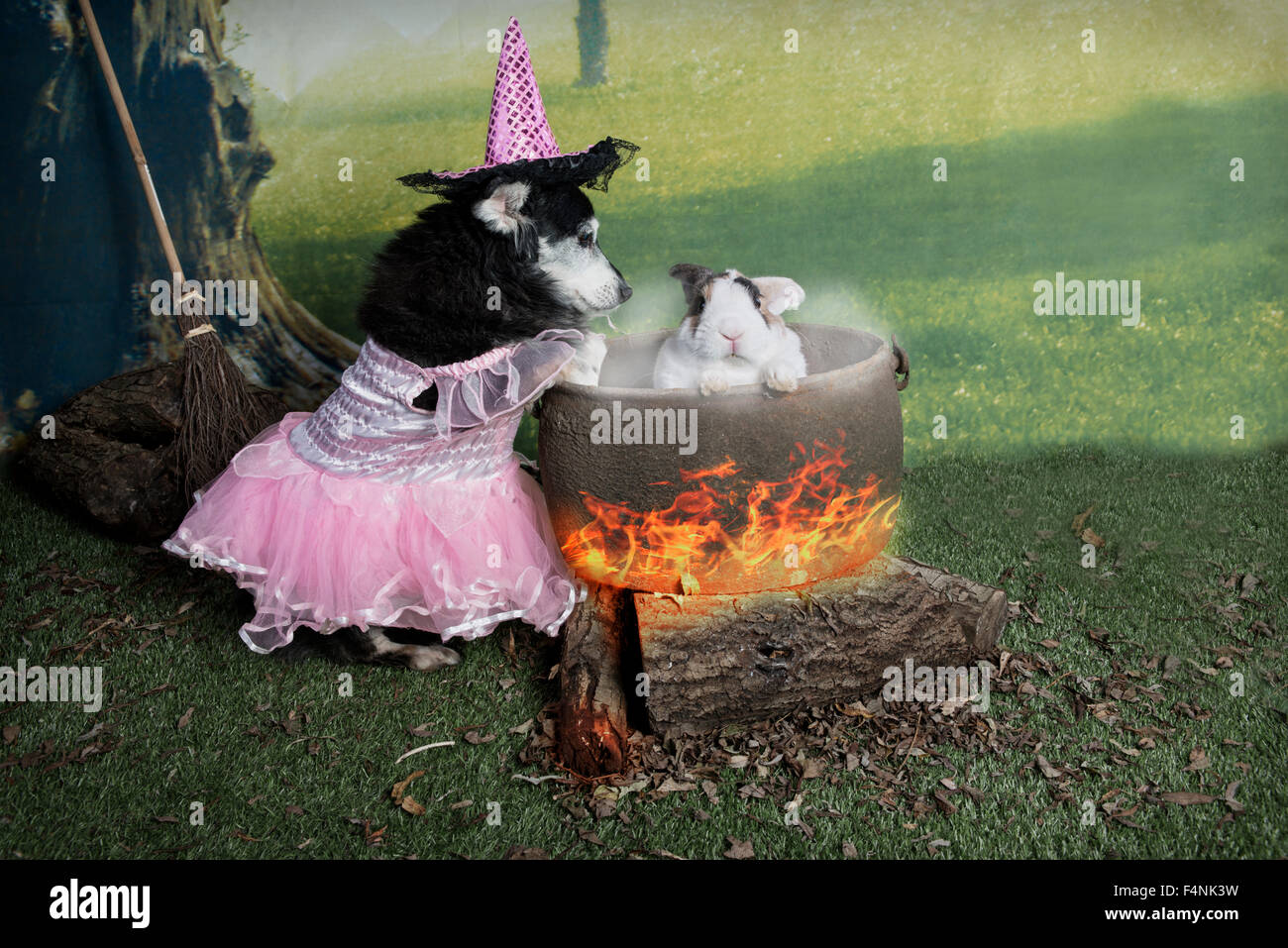 Scary Rabbit High Resolution Stock Photography and Images - Alamy