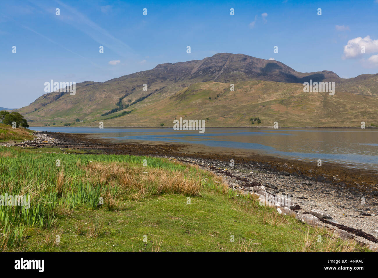Landscape view of mountains and shoreline, Loch Spelve, Argyll and Bute ...
