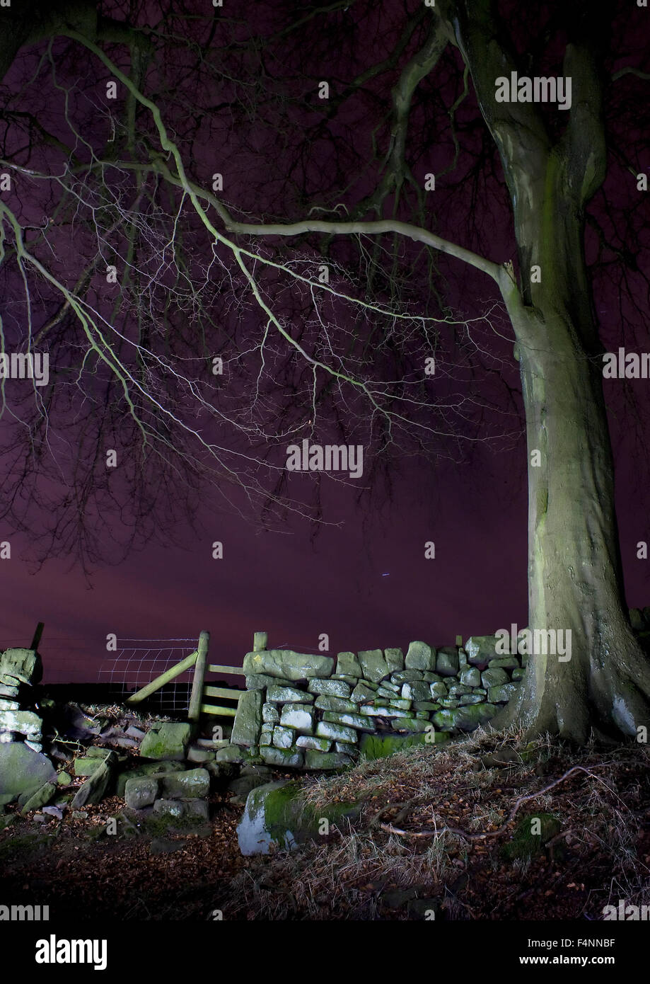 Scary tree silhouette hi-res stock photography and images - Alamy