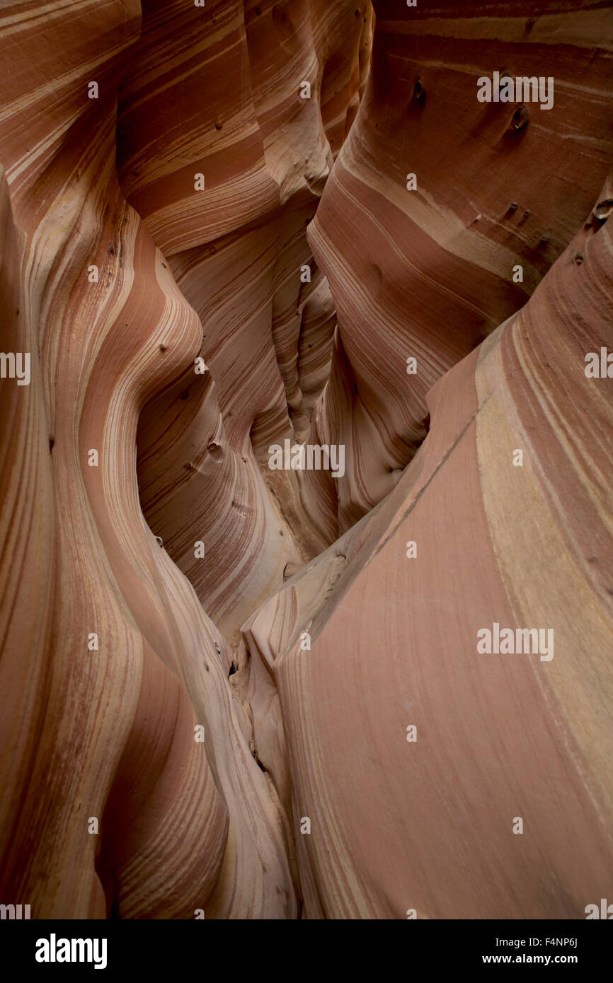Zebra Slot Canyon Grand Staircase Escalante National Monument Stock ...