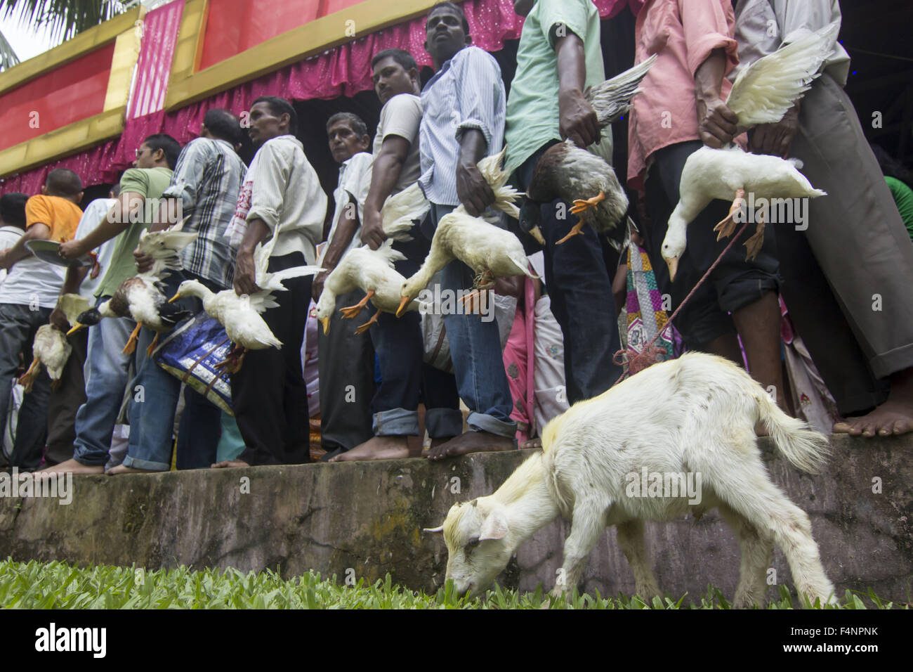 Sivasagar, Assam, India. 21st Oct, 2015. Indian Hindu devotees line up ...