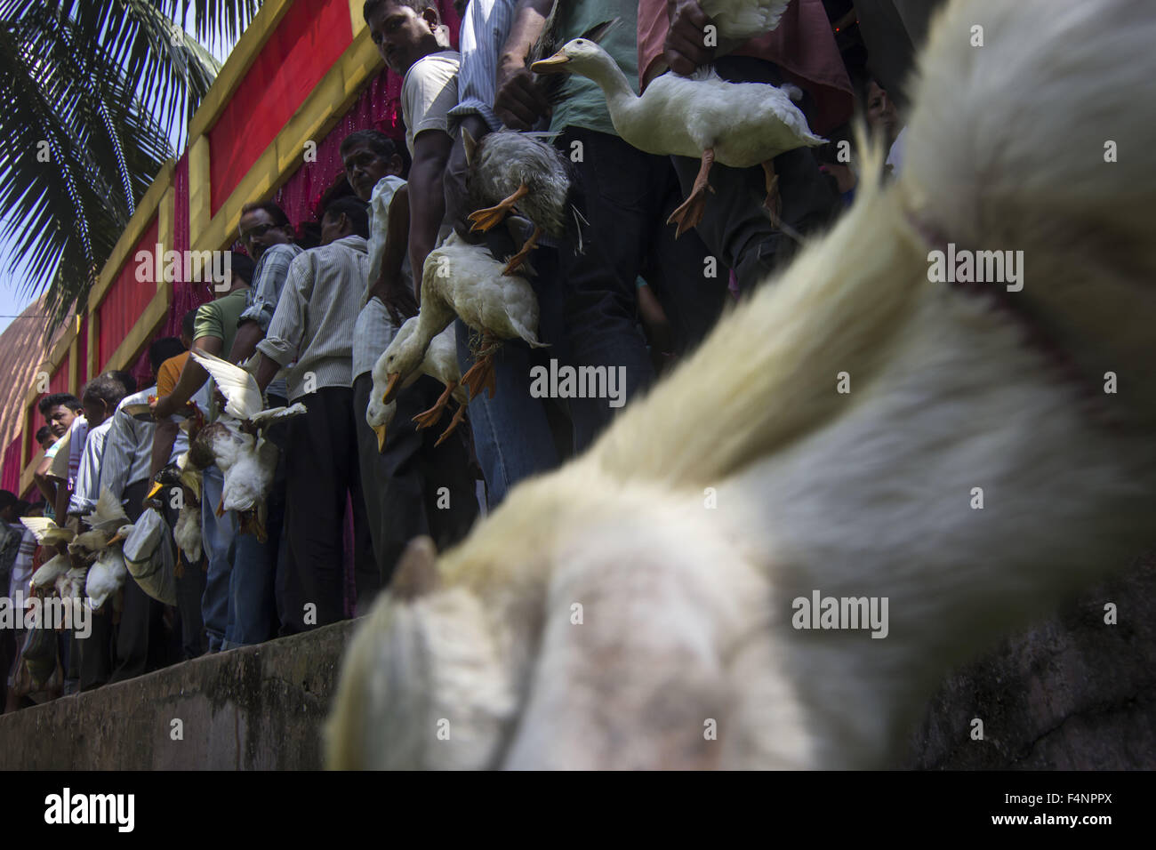 Sivasagar, Assam, India. 21st Oct, 2015. Indian Hindu devotees line up ...