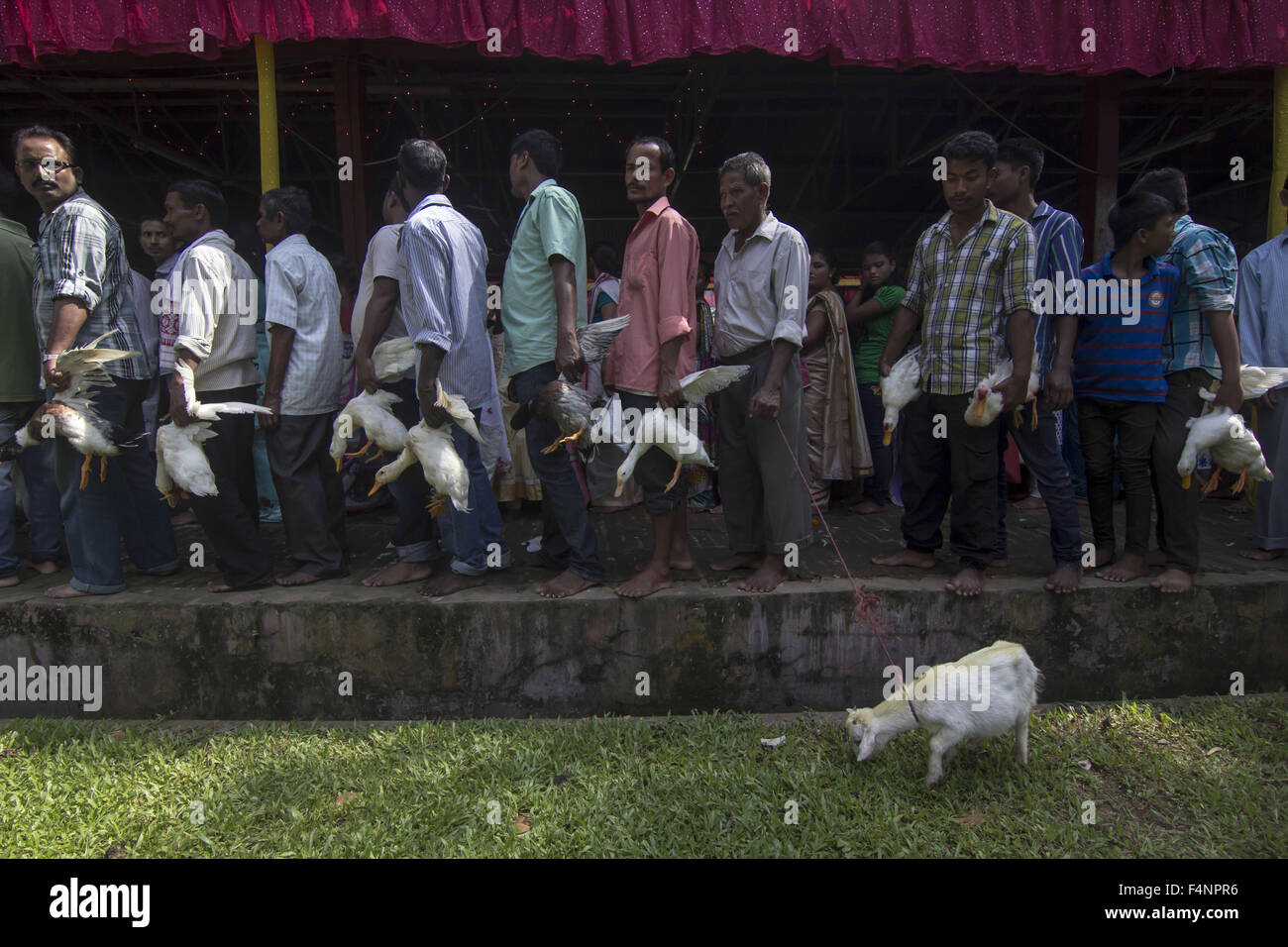 Sivasagar, Assam, India. 21st Oct, 2015. Indian Hindu devotees line up ...