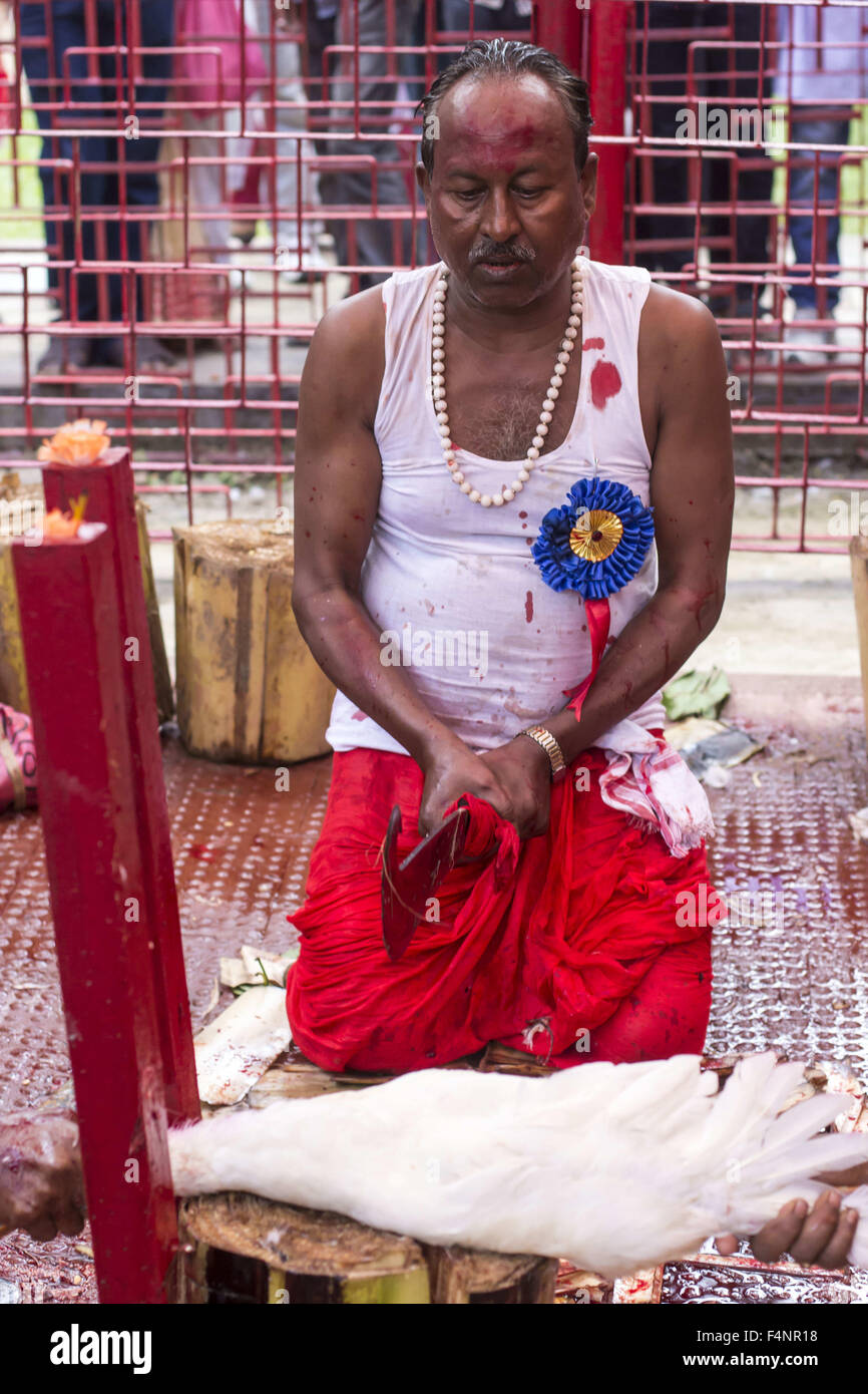 Sivasagar devi dol hi-res stock photography and images - Alamy