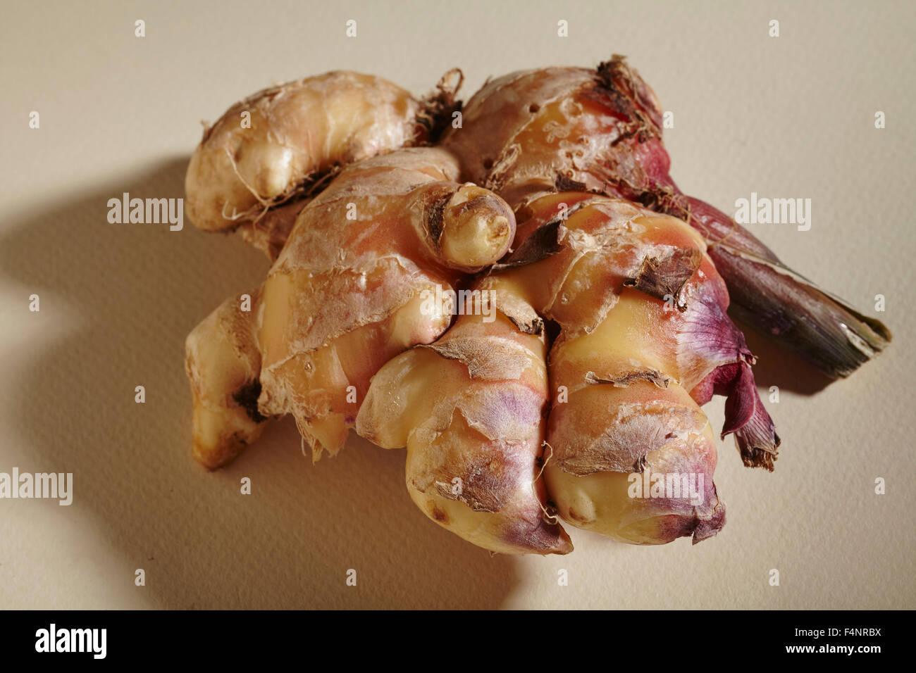 A whole young fresh ginger root Stock Photo - Alamy