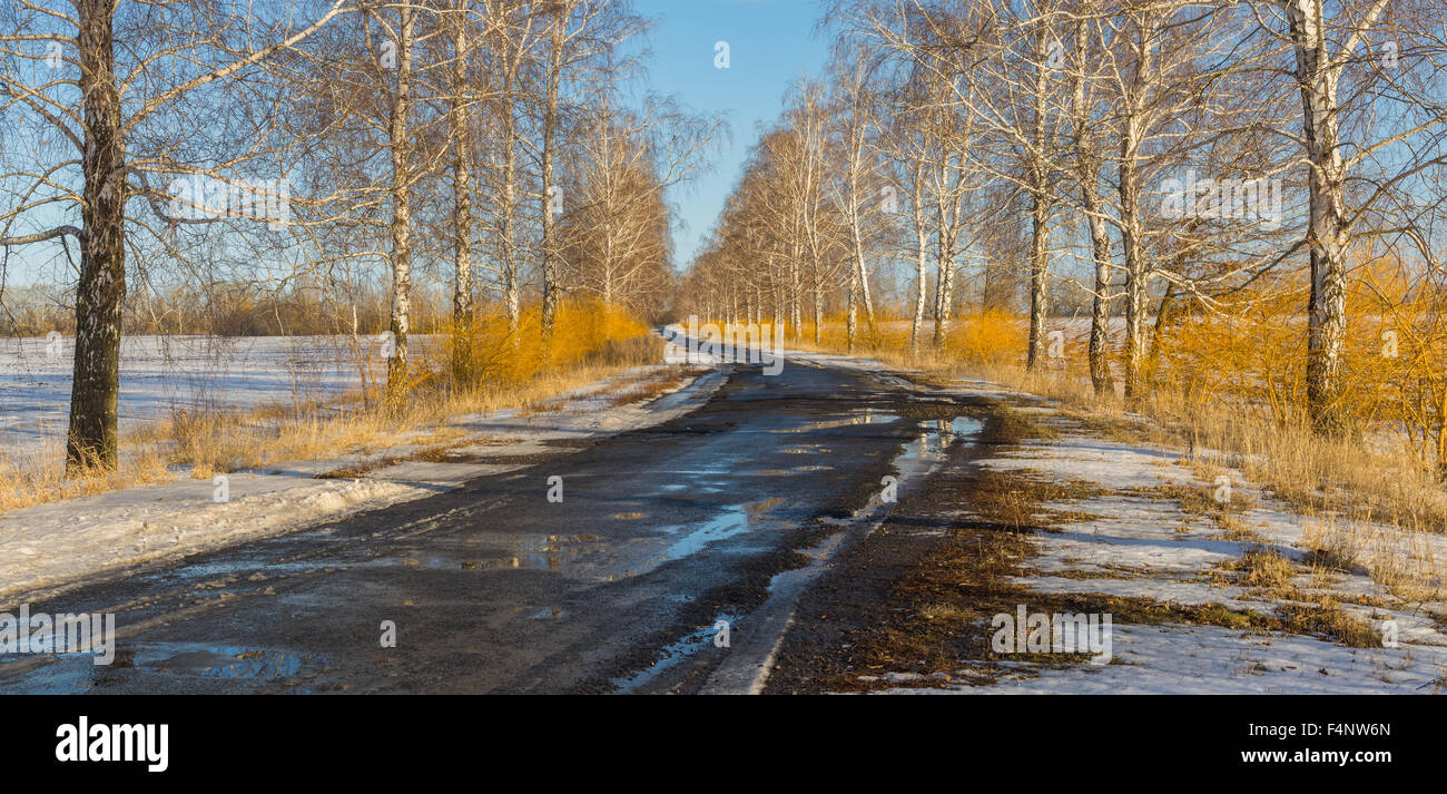 Early spring landscape with Early spring landscape road in central ...