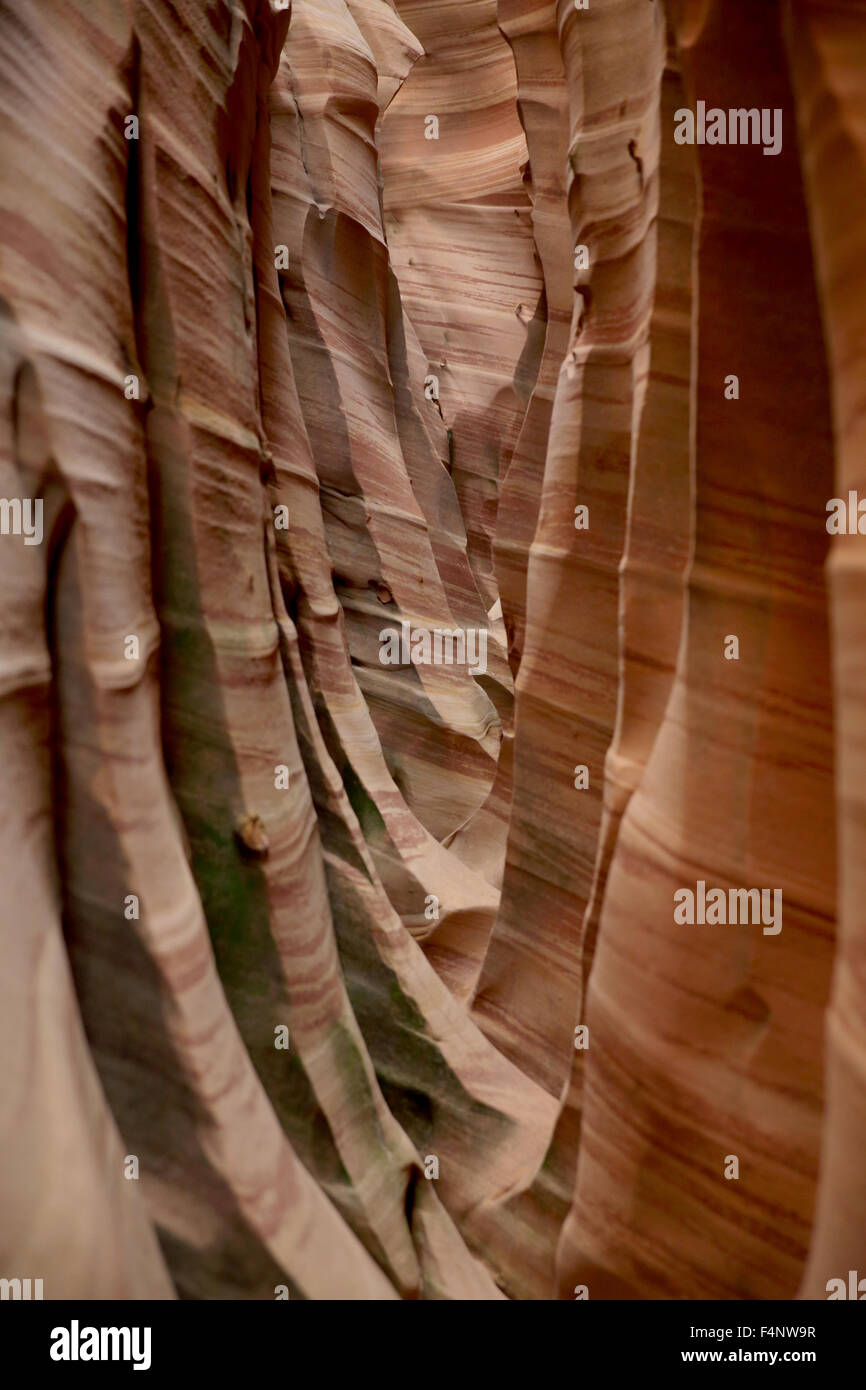 Zebra Slot Canyon Grand Staircase Escalante National Monument Stock ...