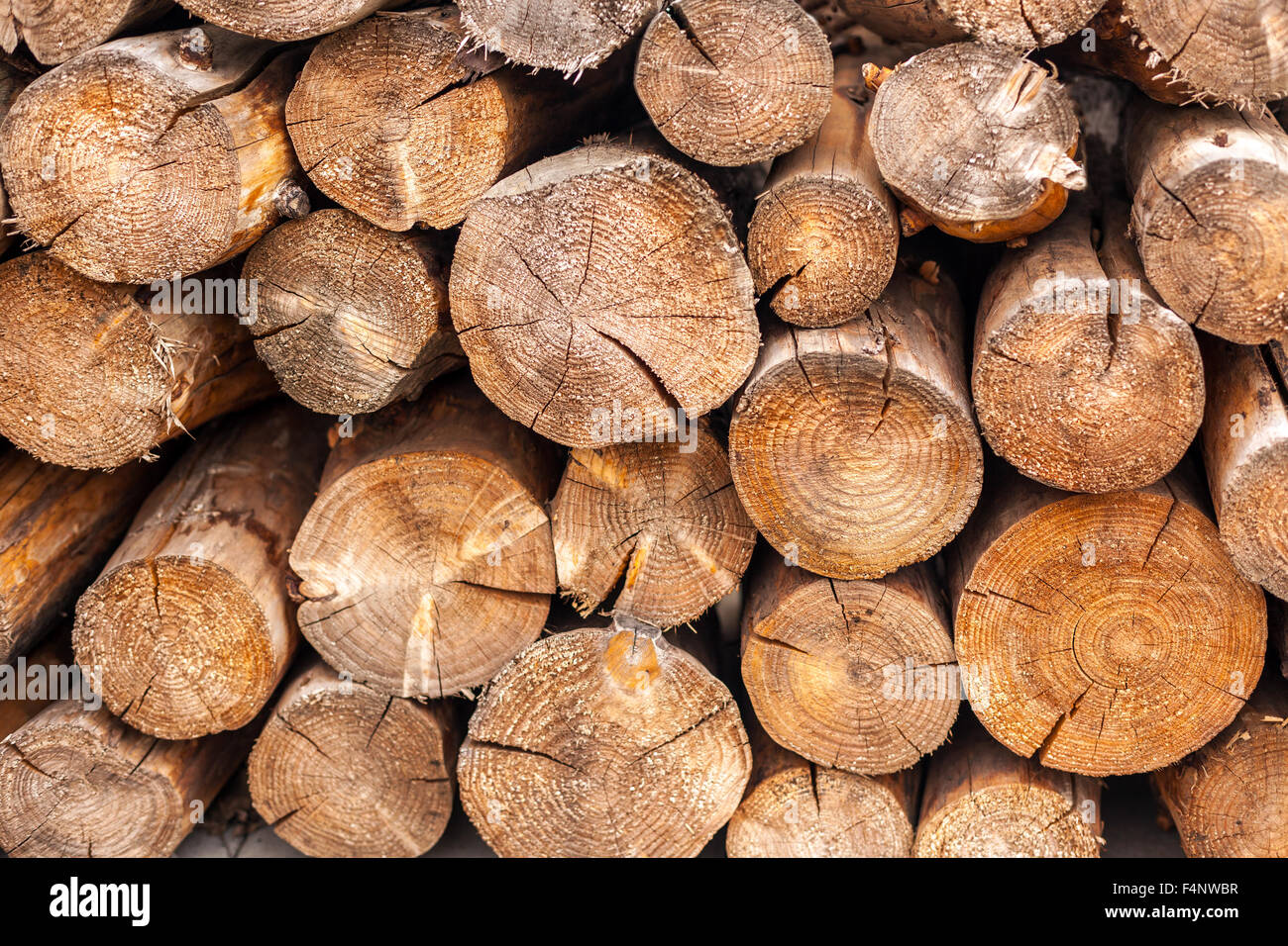 Big pile of logs close up background. Horizontal shot Stock Photo - Alamy