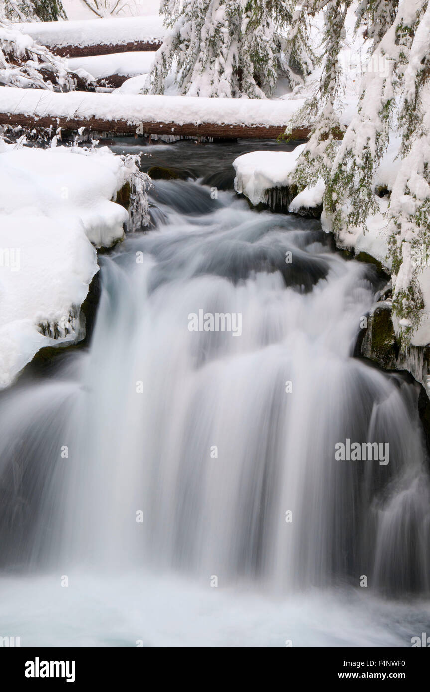 Whitehorse Falls, Rogue-Umpqua National Scenic Byway, Umpqua National ...