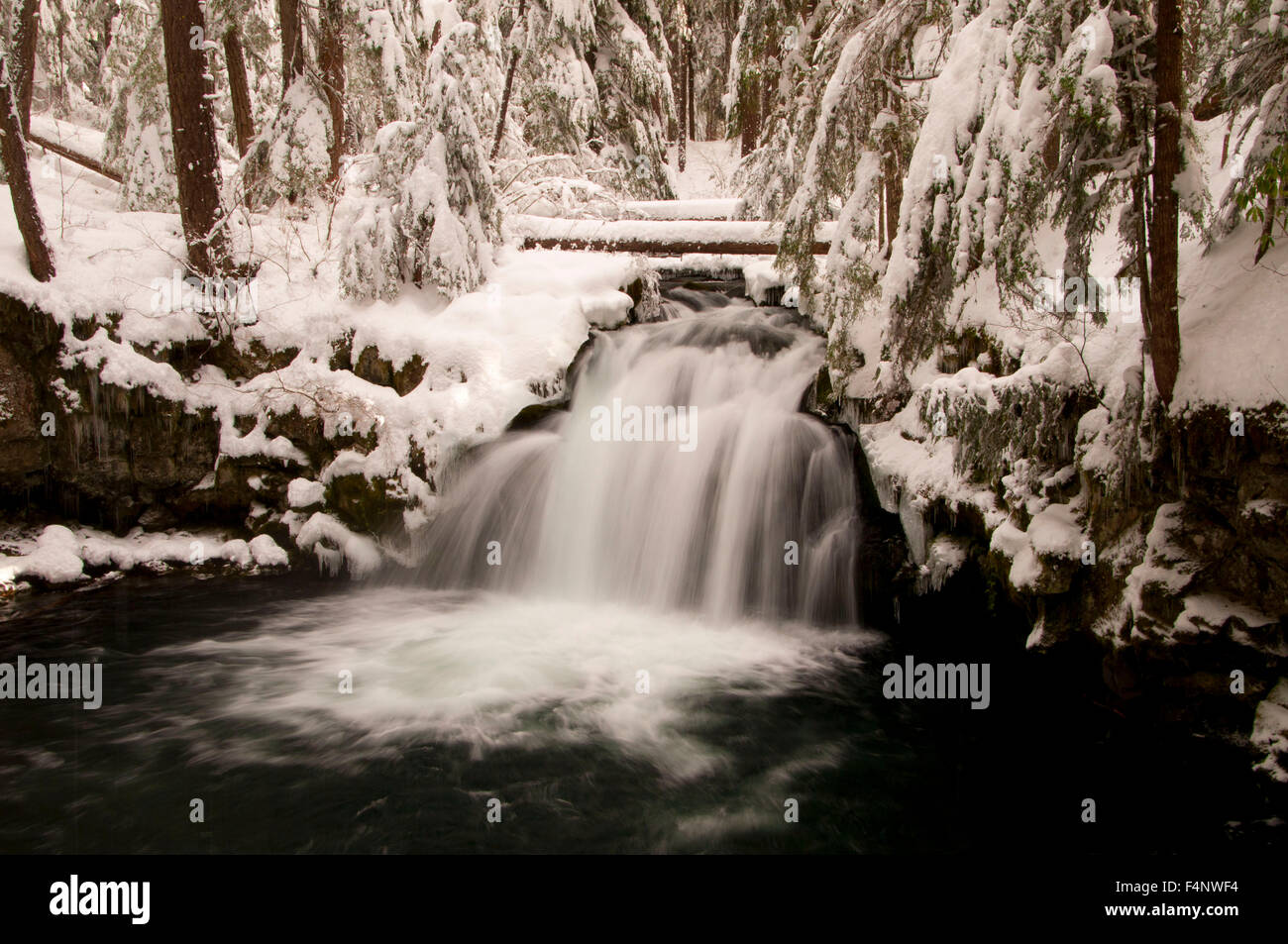 Whitehorse Falls, Rogue-Umpqua National Scenic Byway, Umpqua National ...