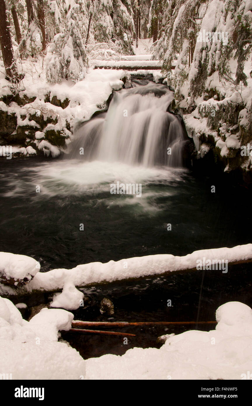 Whitehorse Falls, Rogue-Umpqua National Scenic Byway, Umpqua National ...