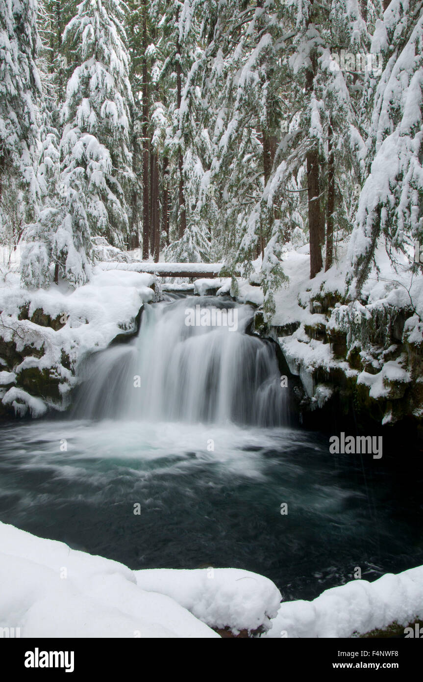 Whitehorse Falls, Rogue-Umpqua National Scenic Byway, Umpqua National ...