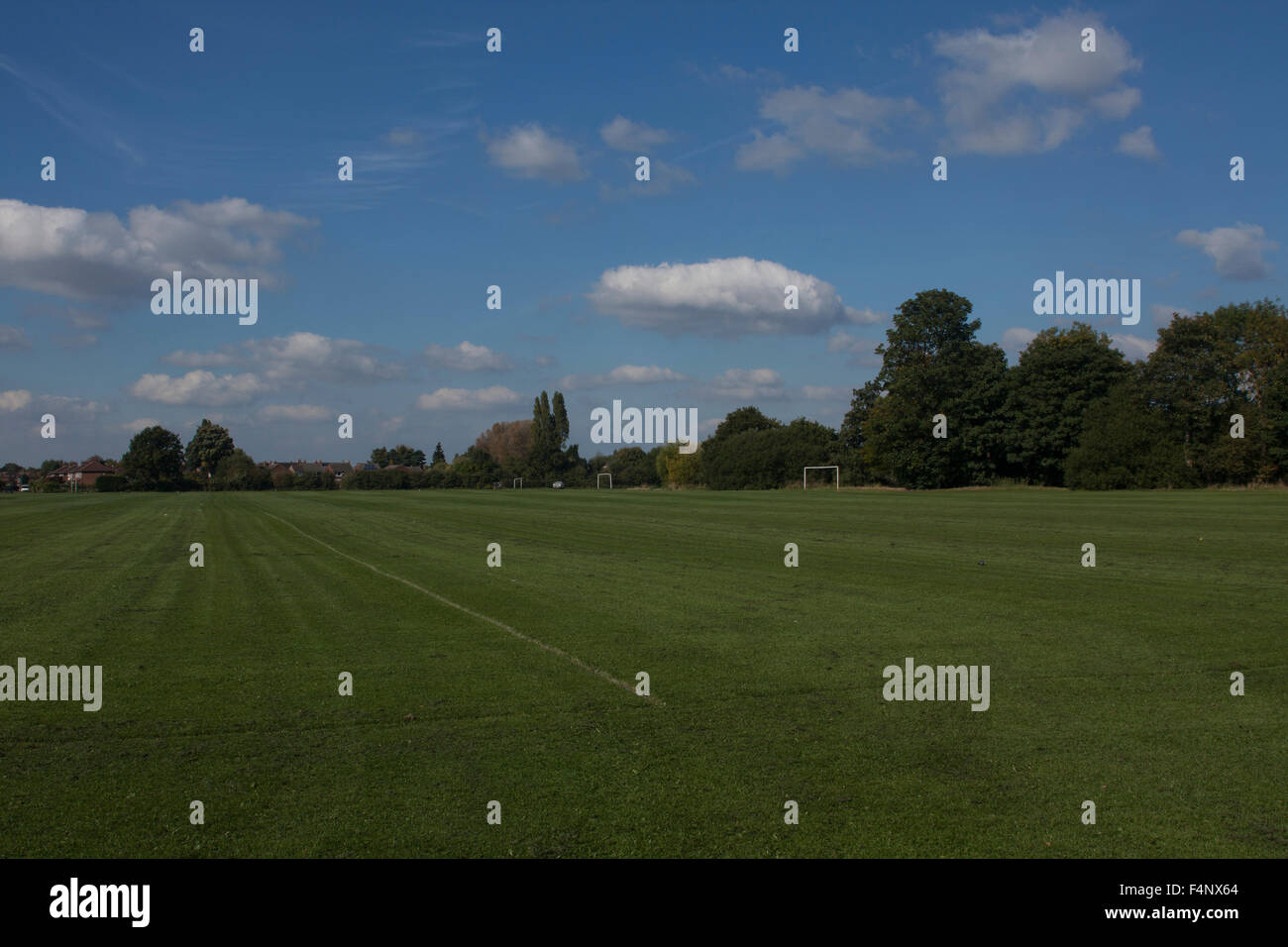 Beech Fields on a early Autumn day Stock Photo - Alamy
