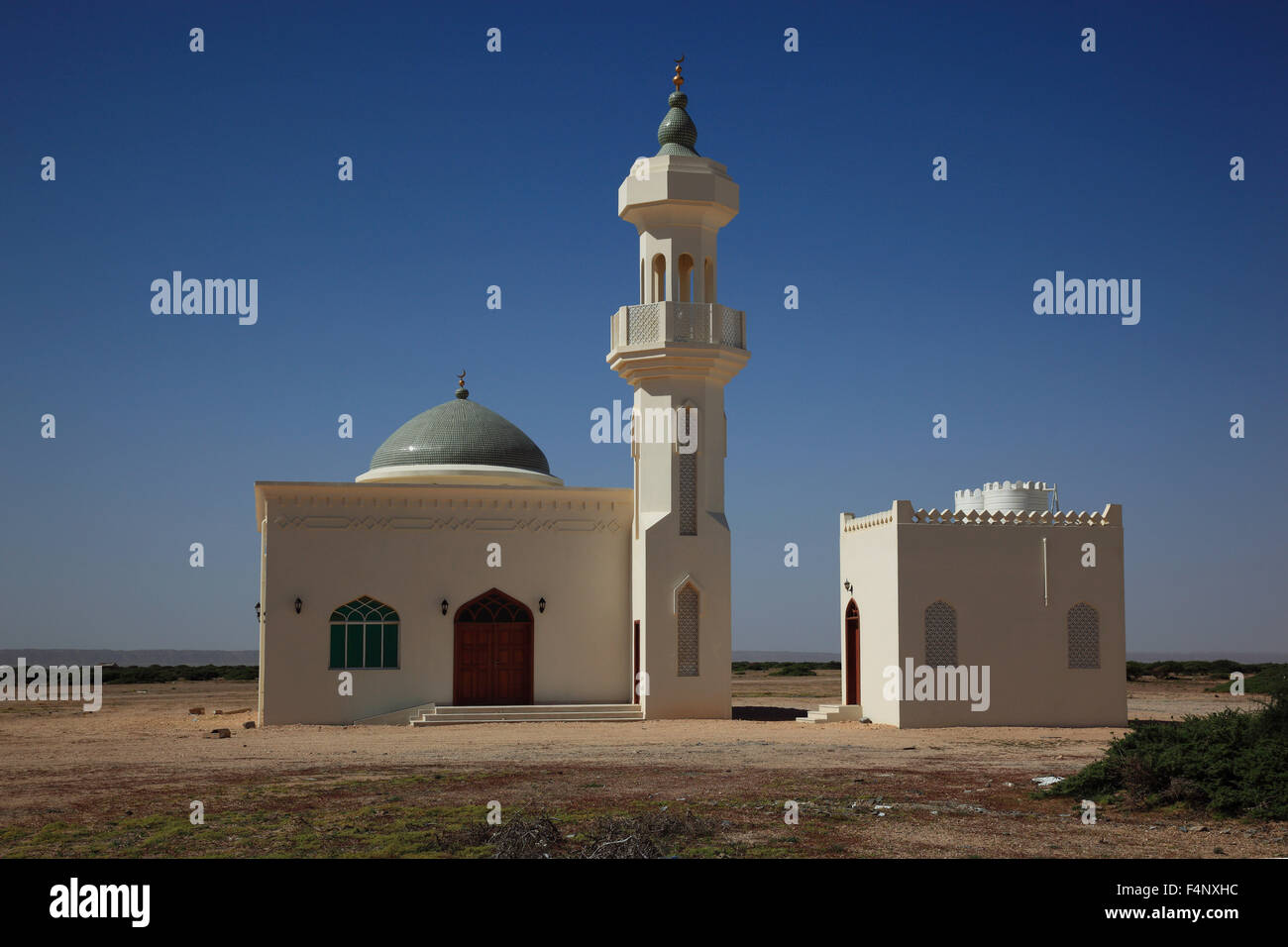 Little Mosque Rev Thorn