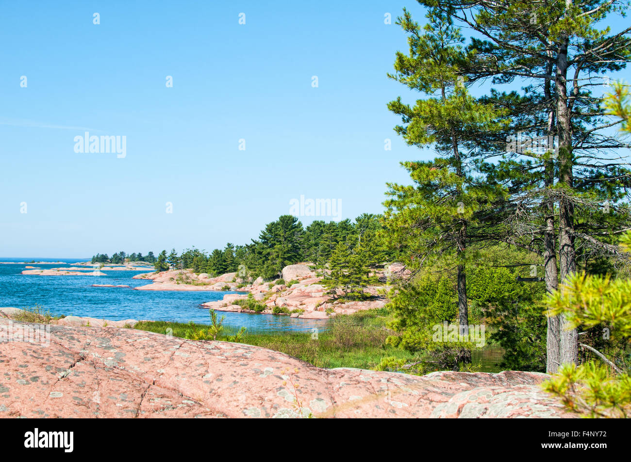 rocks trees and beautiful blue lake in killarney provincial park ...