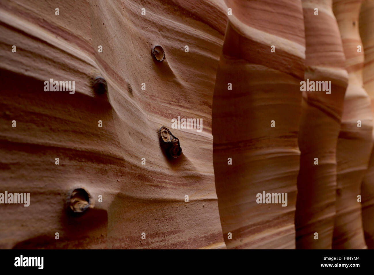 Zebra Slot Canyon Grand Staircase Escalante National Monument Stock ...