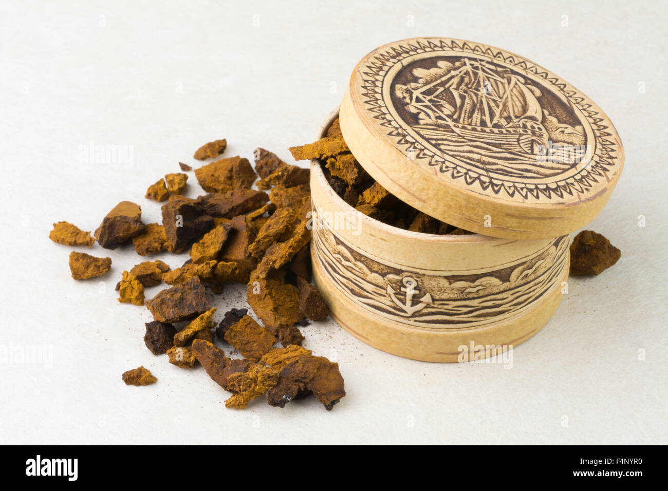 Chaga Mushroom High Resolution Stock Photography and Images - Alamy