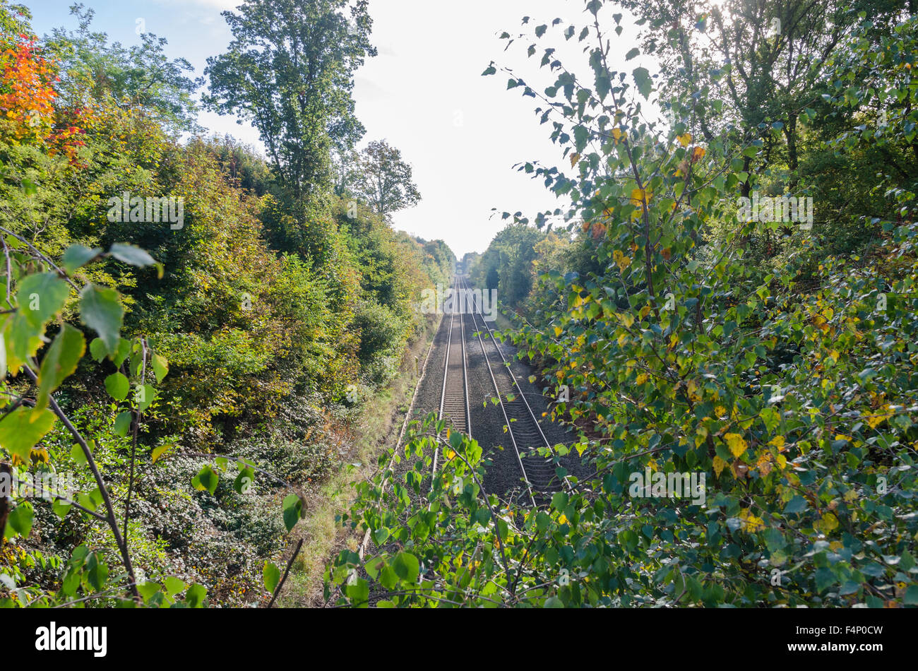 Railway tracks running through Sutton Park near Birmingham Stock Photo ...