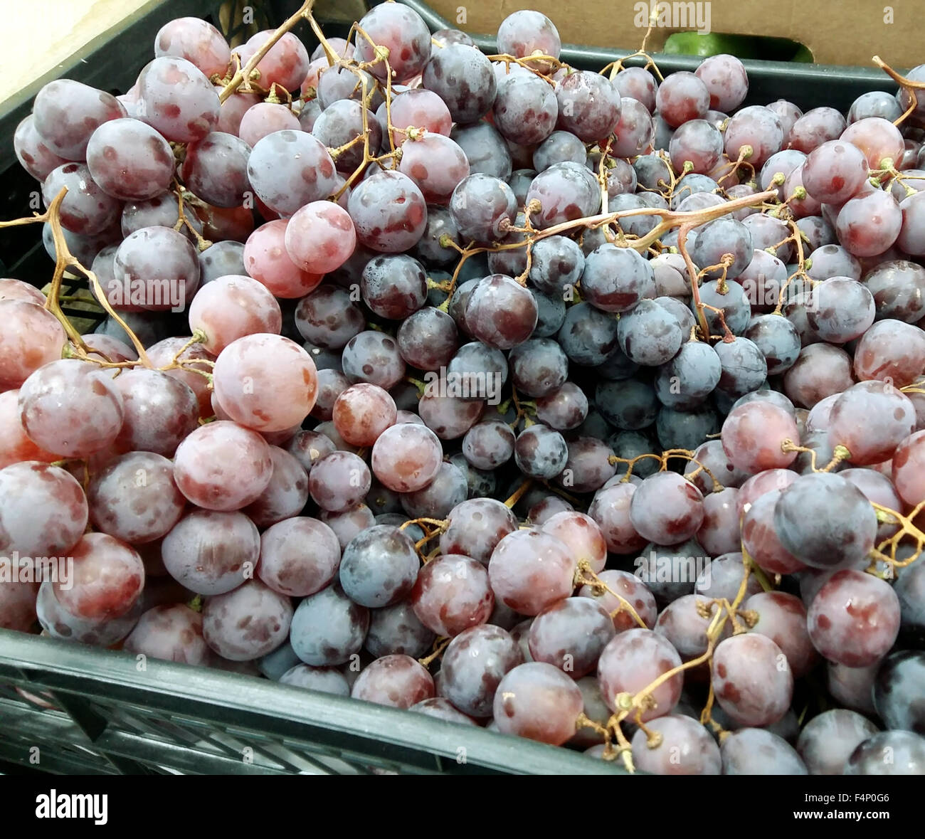 Red grapes in the box for sale at the supermarket Stock Photo - Alamy