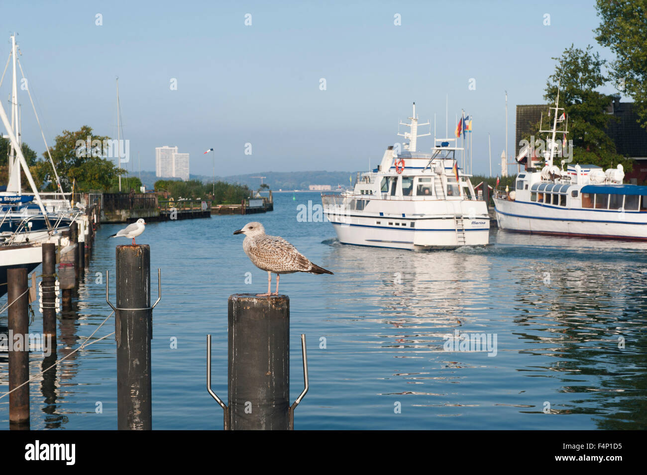 The port of Niendorf/Ostsee, a fishing port and seaside resort on the ...