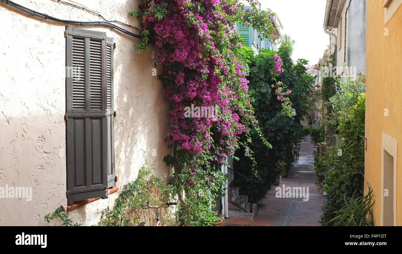 Summer street scene hi-res stock photography and images - Alamy