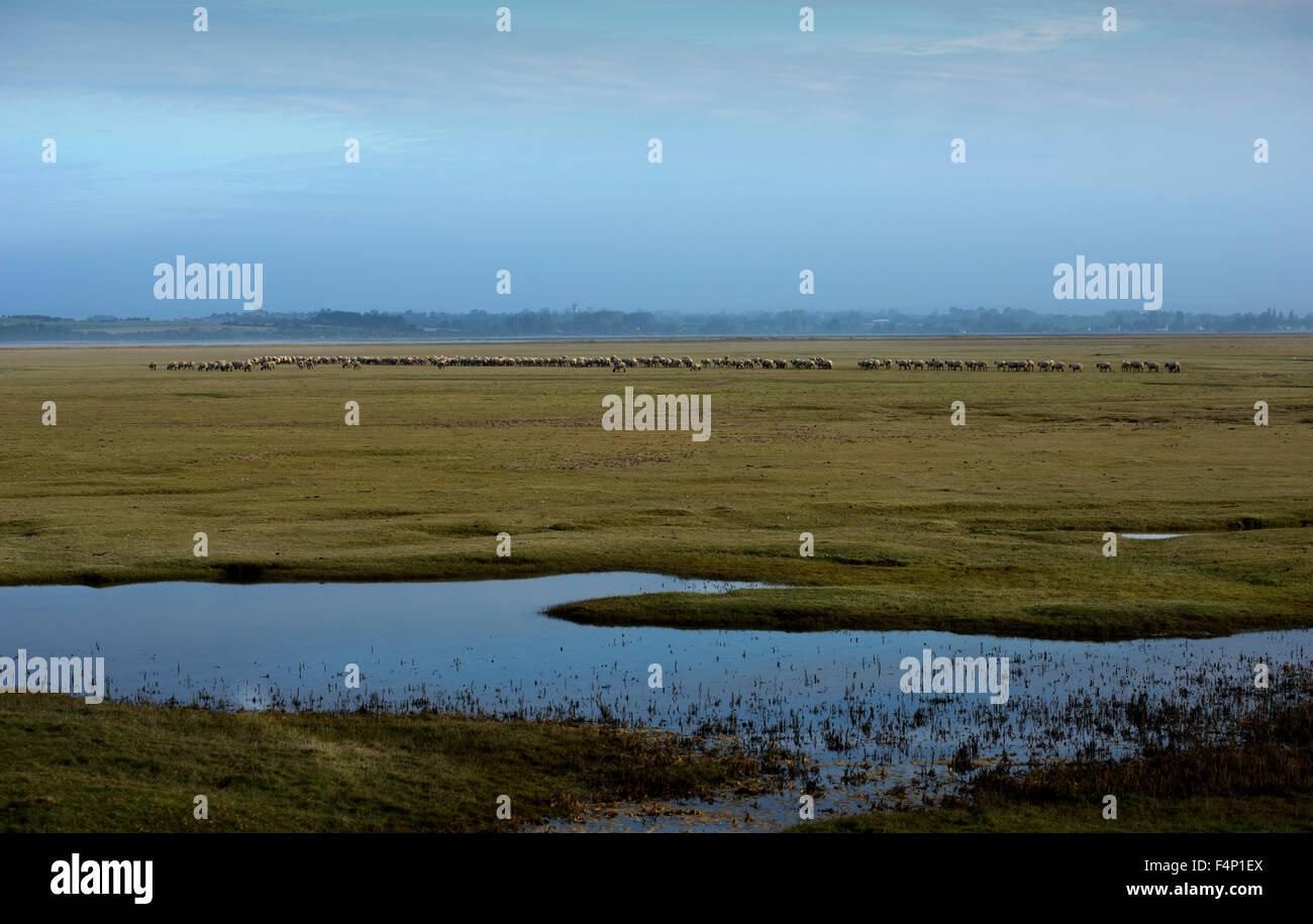 Mont St Michel, Normandy, France. October 2015 Wikipedia below: Le Mont ...