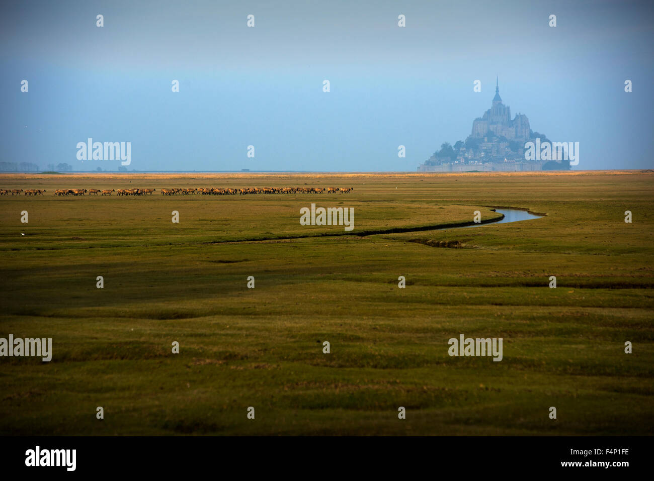 Mont St Michel, Normandy, France. October 2015 Wikipedia below: Le Mont ...