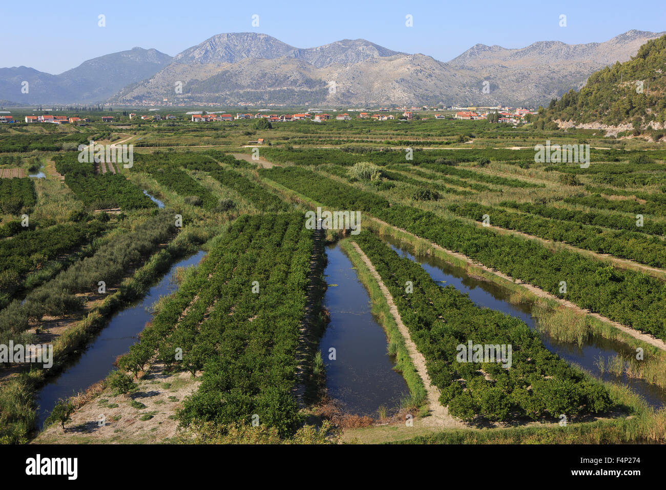 Neretva River Delta agriculture near Ploce, Croatia Stock Photo - Alamy