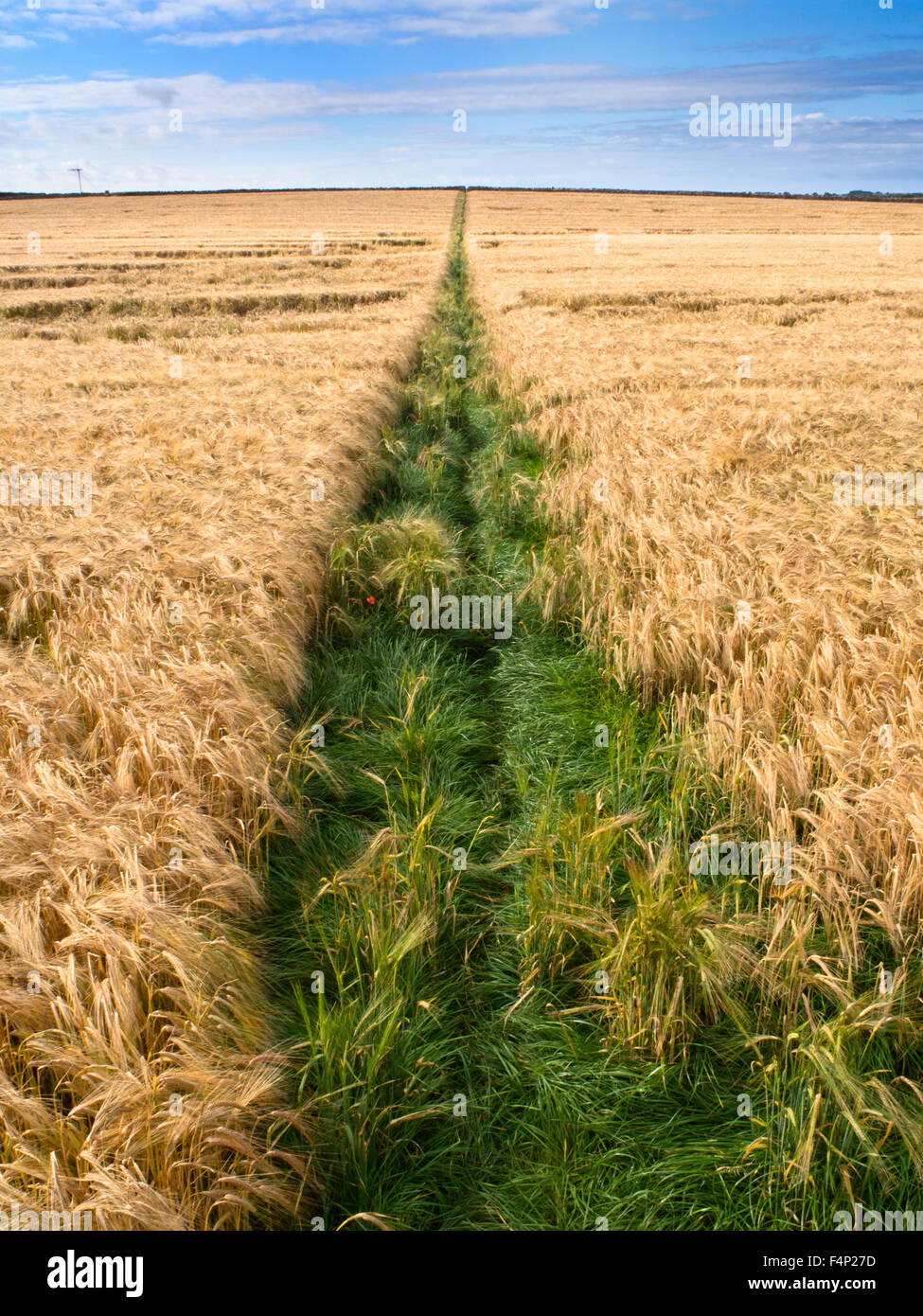 Public footpath across a field hi-res stock photography and images - Alamy
