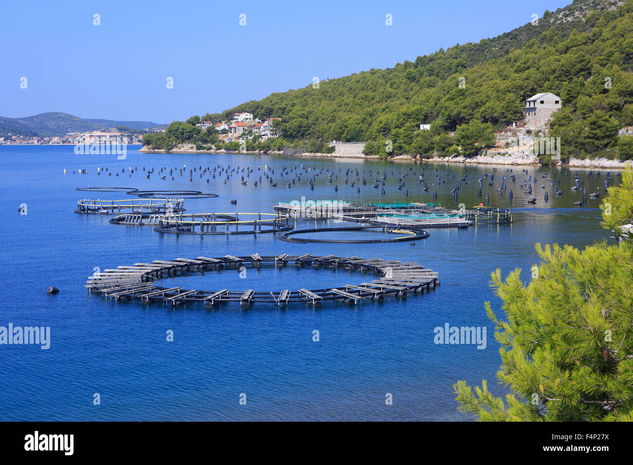 Croatia dalmatia fish farm hi-res stock photography and images - Alamy