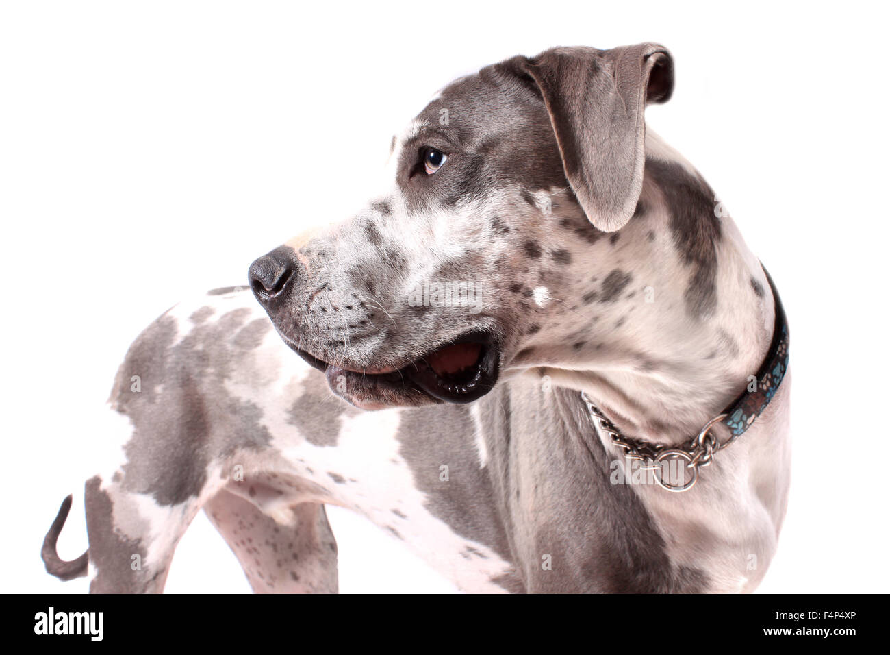 Large coat Cut Out Stock Images & Pictures - Alamy