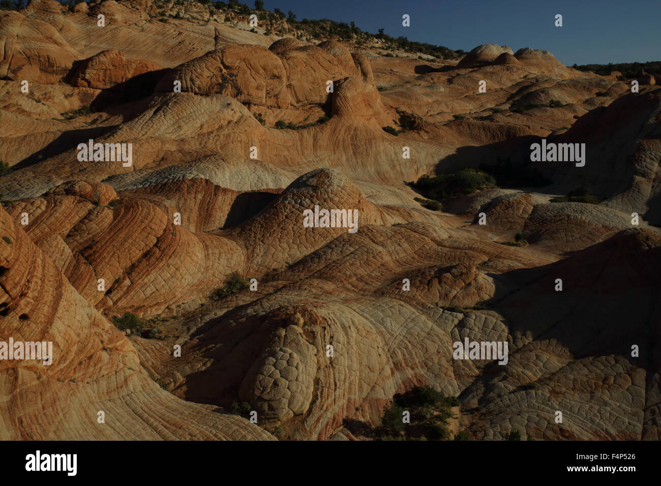 Yant Flat - Candy Cliffs Utah Stock Photo - Alamy