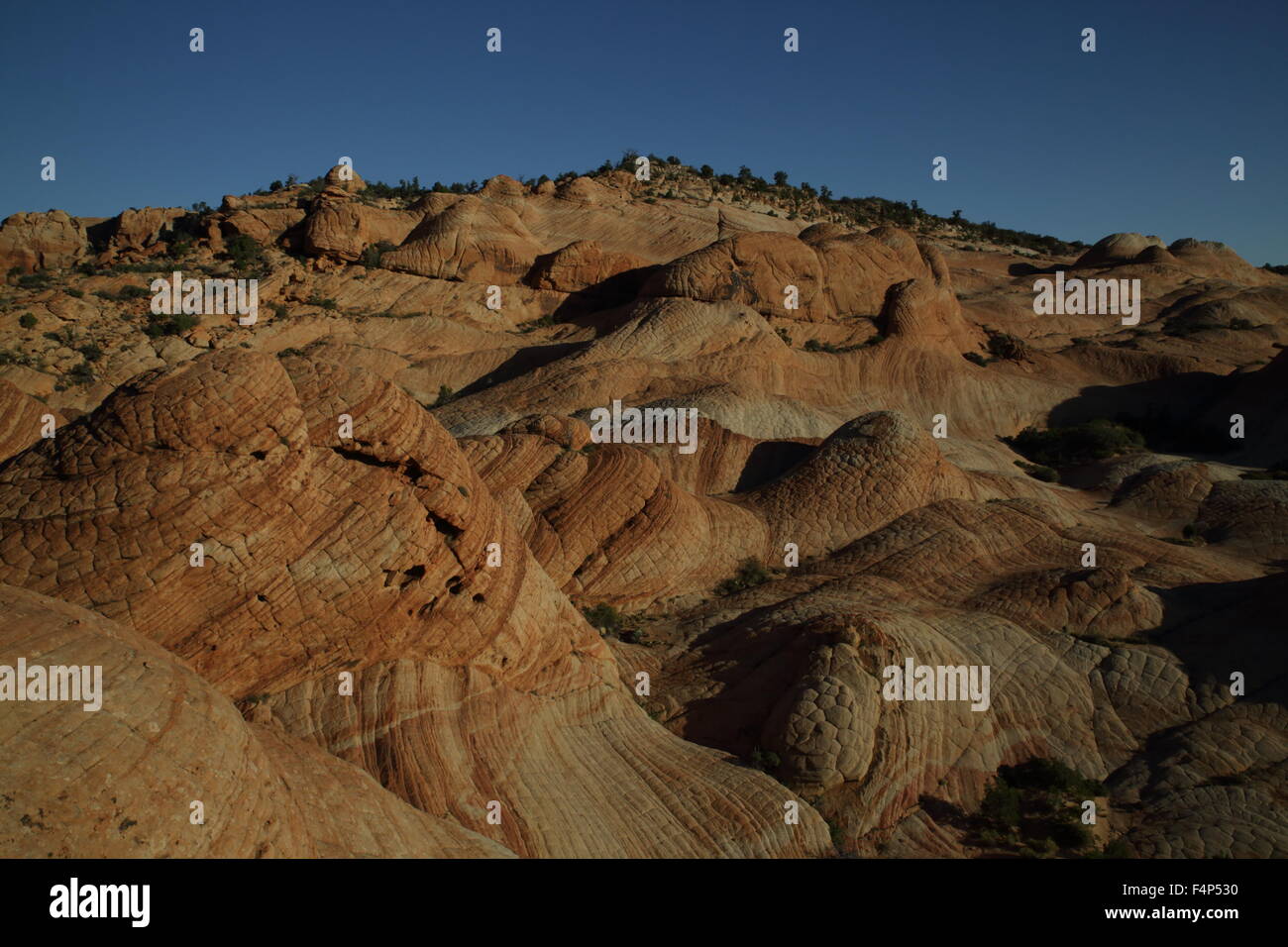 Yant Flat - Candy Cliffs Utah Stock Photo - Alamy