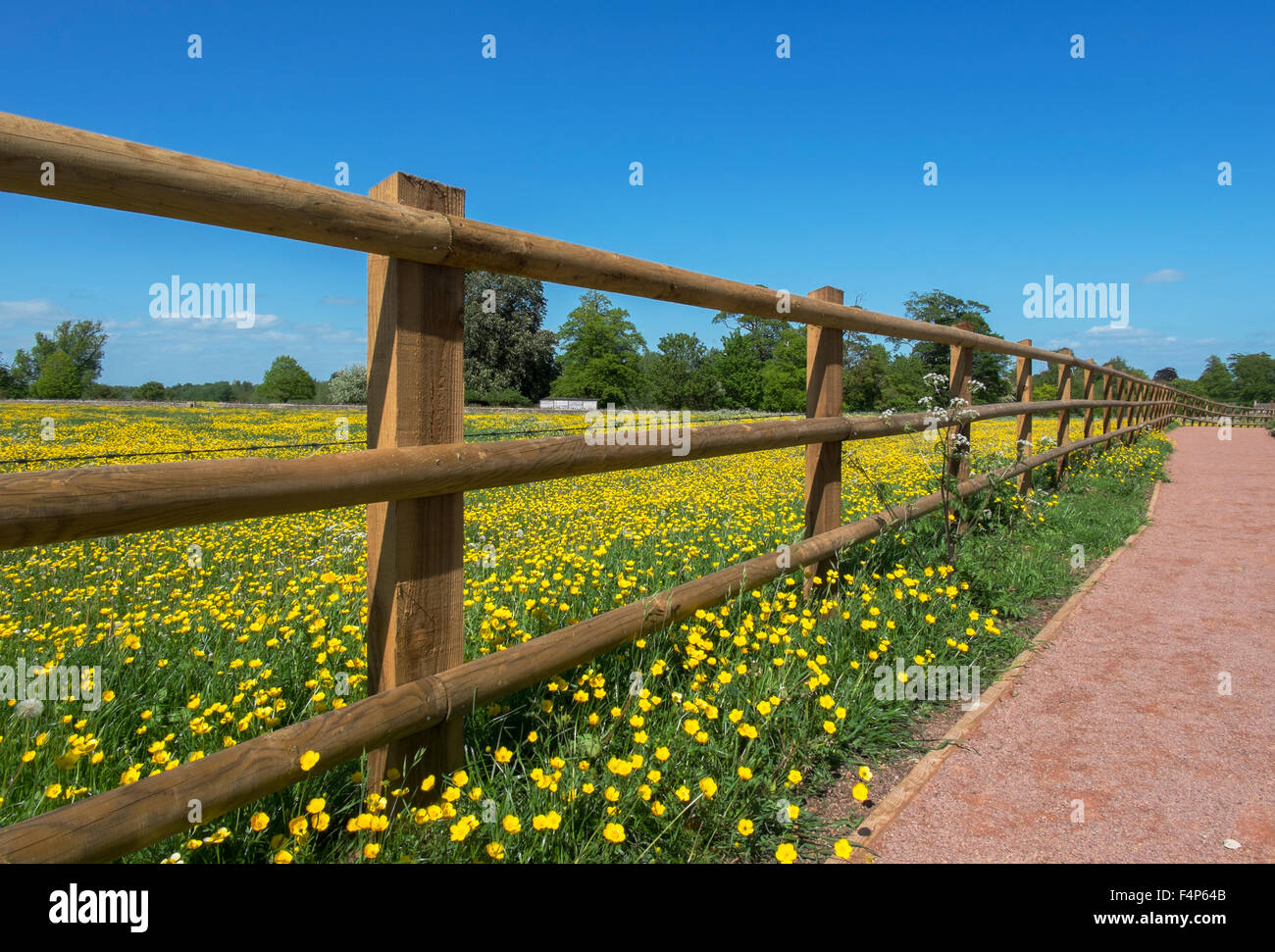 Path pathway barrier fence hi-res stock photography and images - Alamy