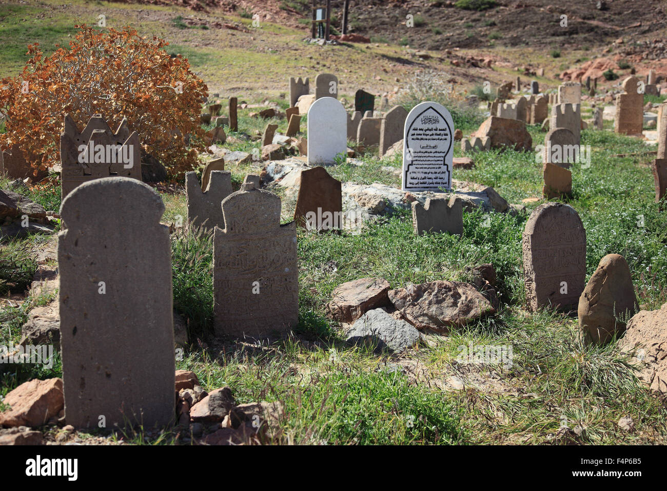 An Arabian cemetery and mausoleum of sheikh Muhammad is Ali al-Alawi ...