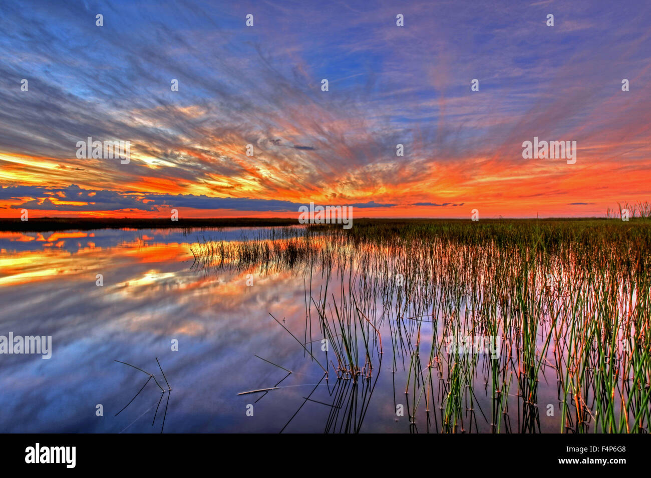 Freshwater river ecosystem hi-res stock photography and images - Alamy