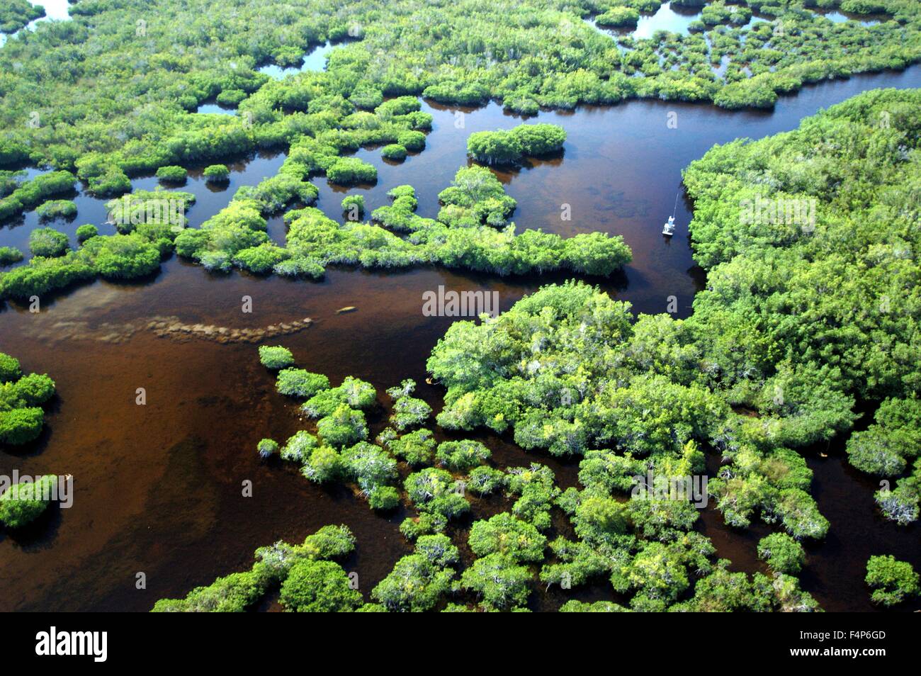 Aerial view everglades national park hi-res stock photography and ...