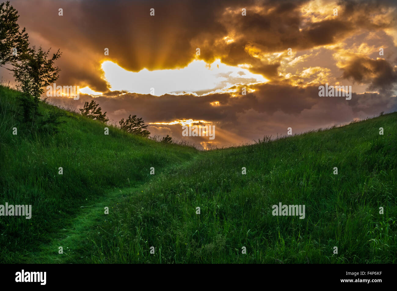 A grassy hillside with a cloudy sunset Stock Photo - Alamy