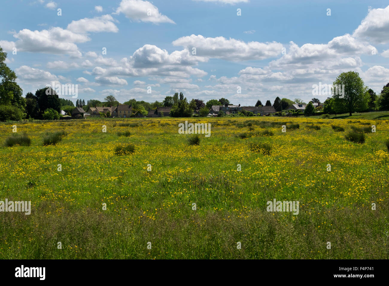 Pasture land grass hi-res stock photography and images - Alamy