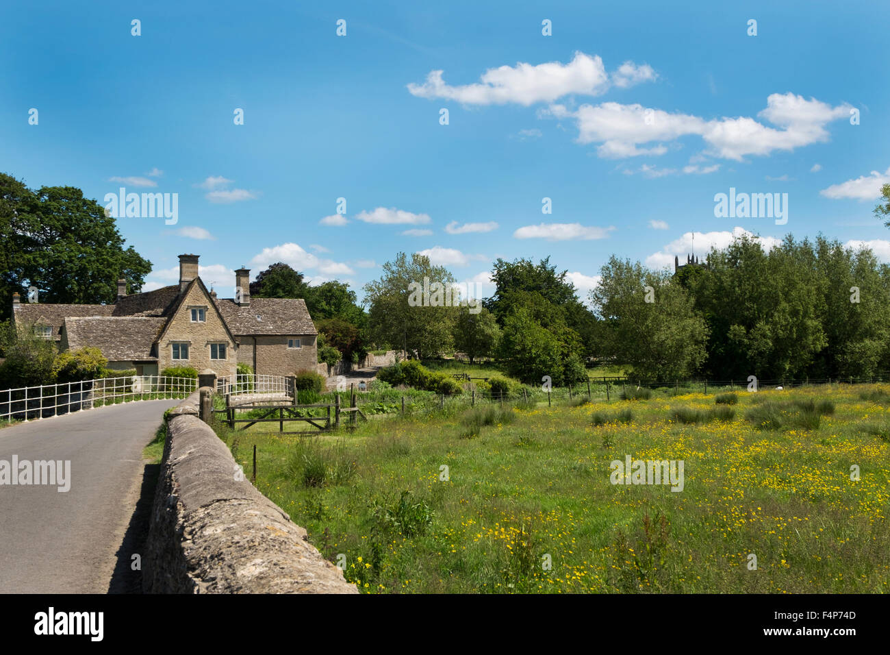 Pasture land grass hi-res stock photography and images - Alamy