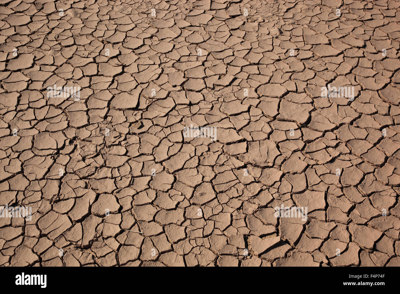 dry mucky surface Stock Photo - Alamy