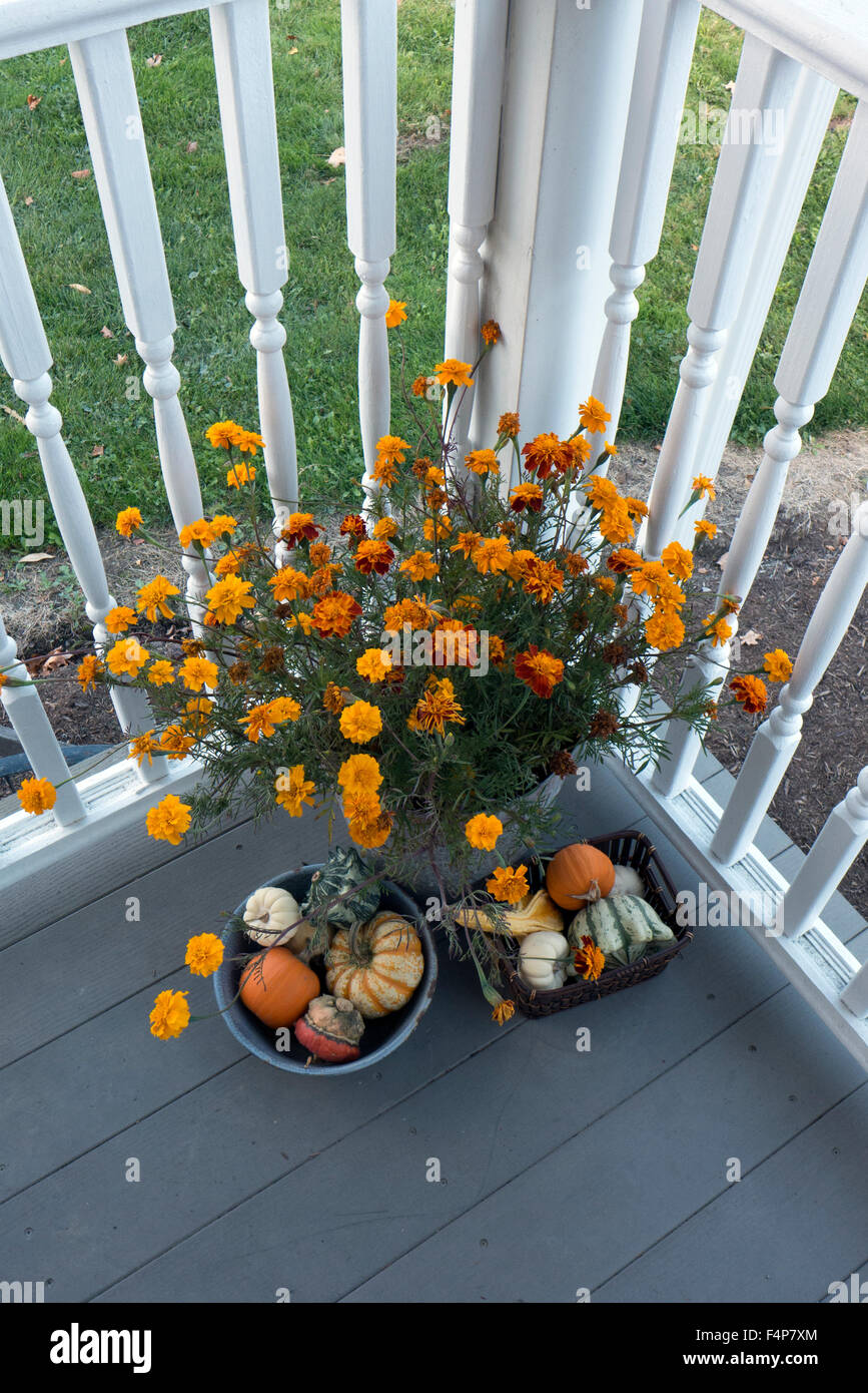 Seasonal display on front porch Stock Photo - Alamy
