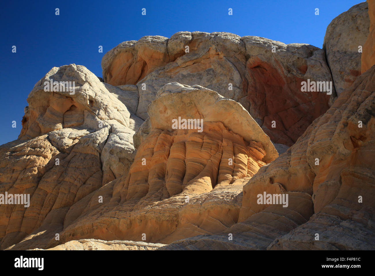 Paria canyon vermilion cliff wilderness vermilion cliffs national ...