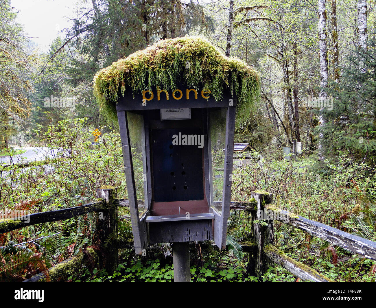 Phone booth in the wilderness hi-res stock photography and images - Alamy