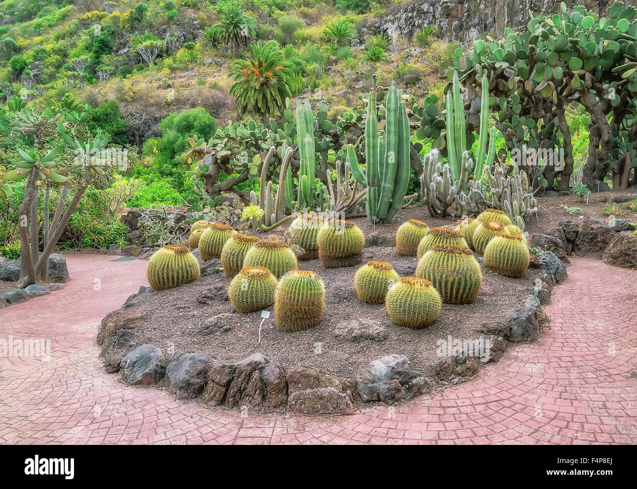 Flora pollution hi-res stock photography and images - Alamy