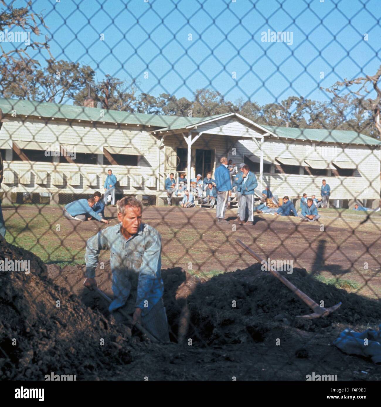 Cool hand luke film hi-res stock photography and images - Alamy