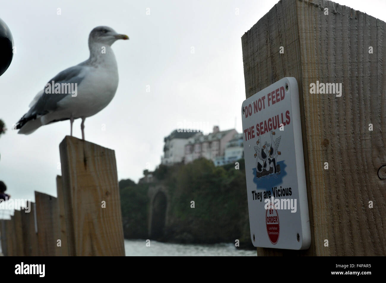 Angry cornwall hi-res stock photography and images - Alamy