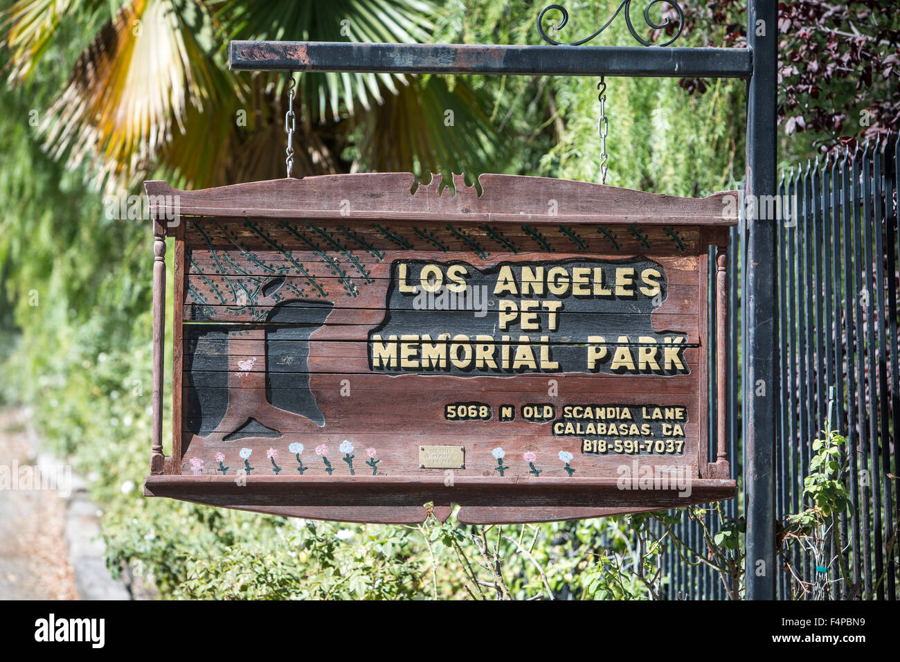 Save dogs and cats hi-res stock photography and images - Alamy