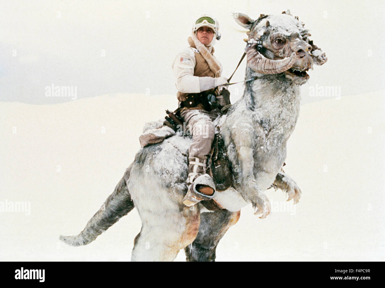 Mark Hamill / Star Wars - The Empire Strikes Back 1980 directed by ...